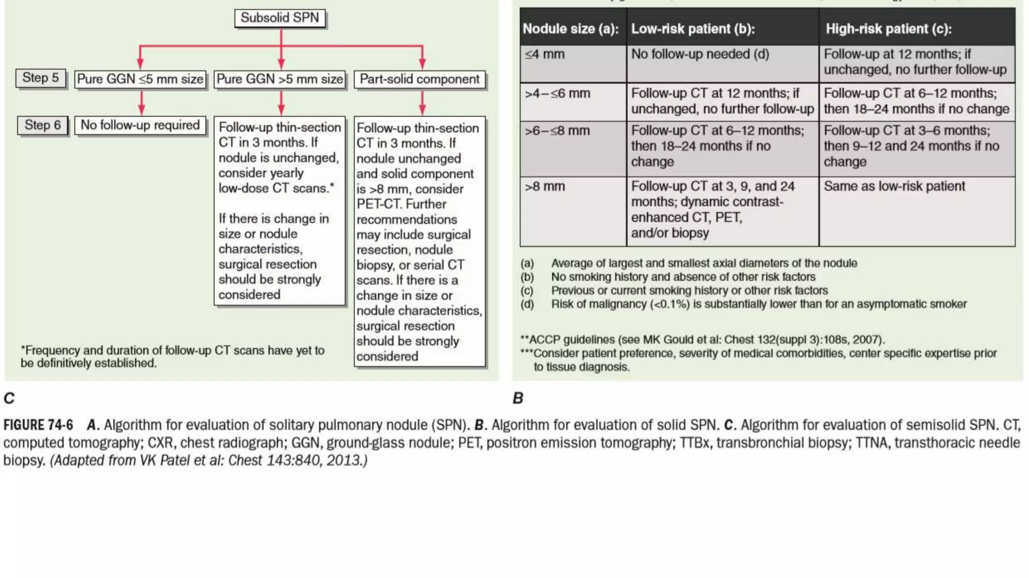 Clinical Approach To Solitary Pulmonary Nodule Final Pptx Lung And Respiratory Health