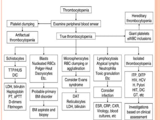 clinical approach to thrmbocytopenia.pptx