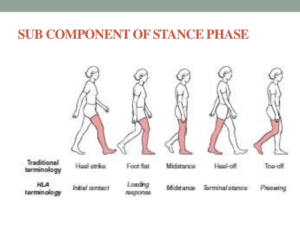 Clinical aproach to gait disorders