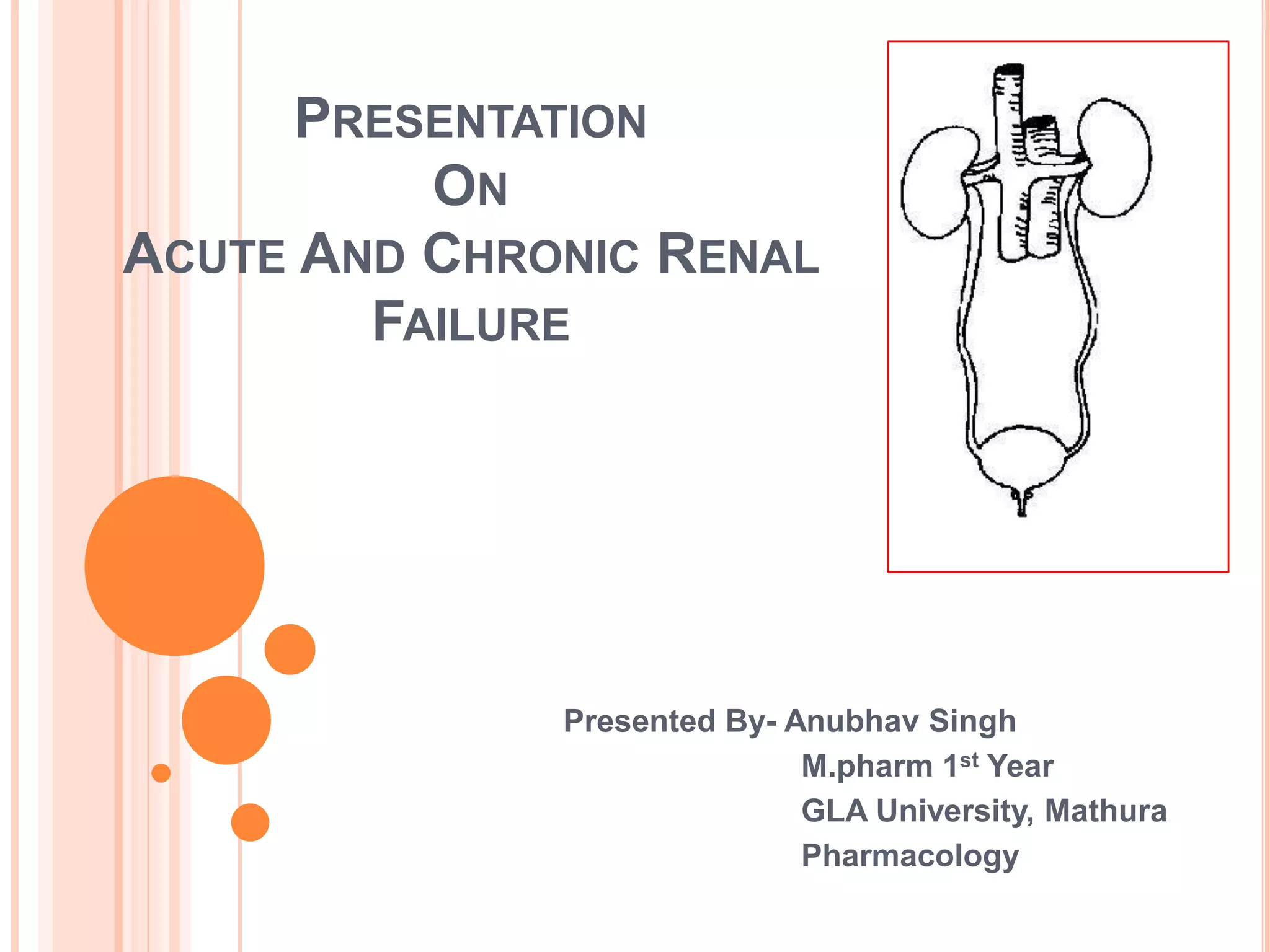 Acute and Chronic Renal Failure. Easy Slides. | PPTX