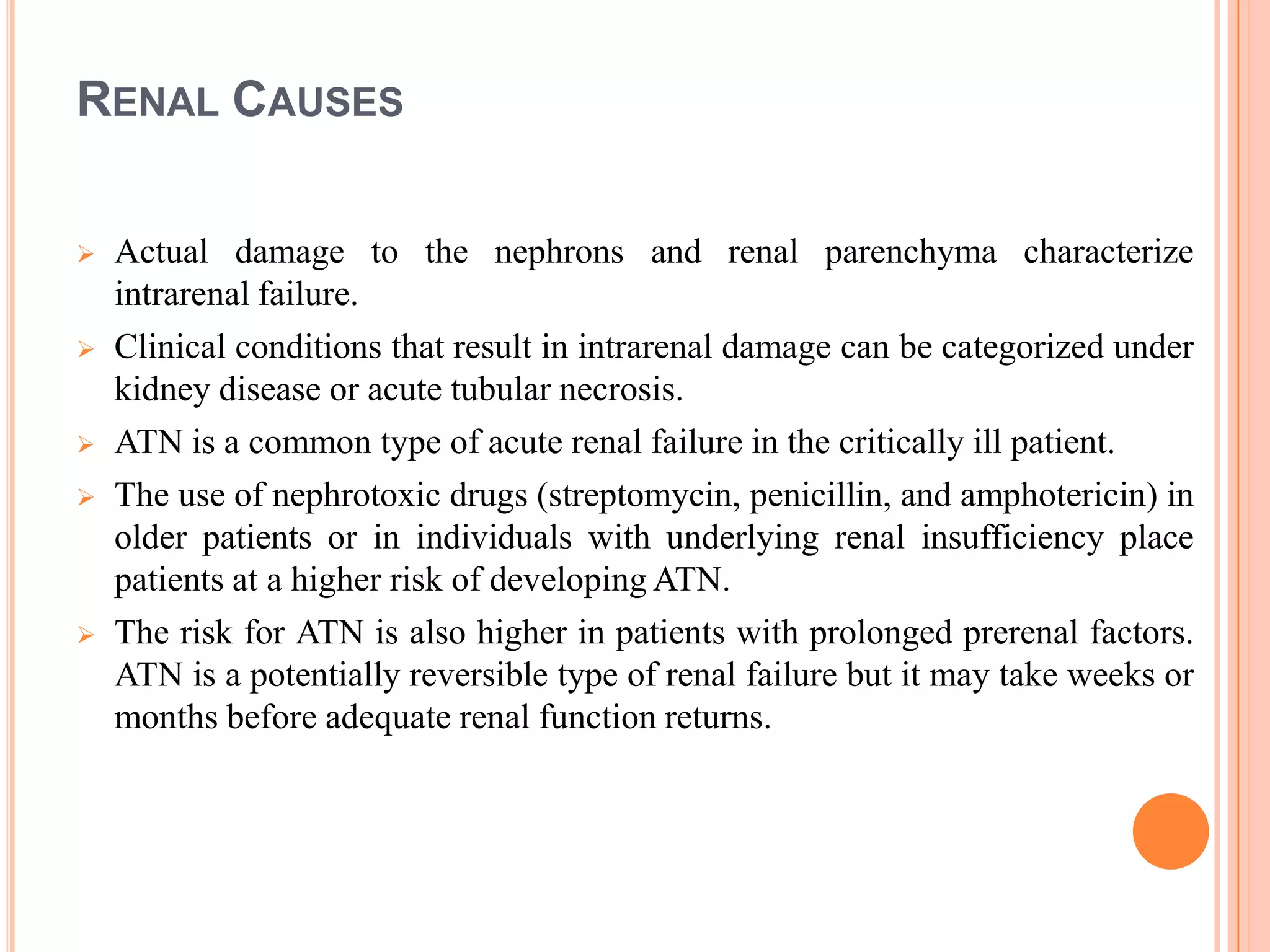 Acute and Chronic Renal Failure. Easy Slides. | PPTX