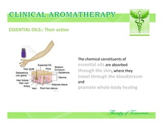 Clinical Aromatherapy :: Therapy of Tomorrow | PDF