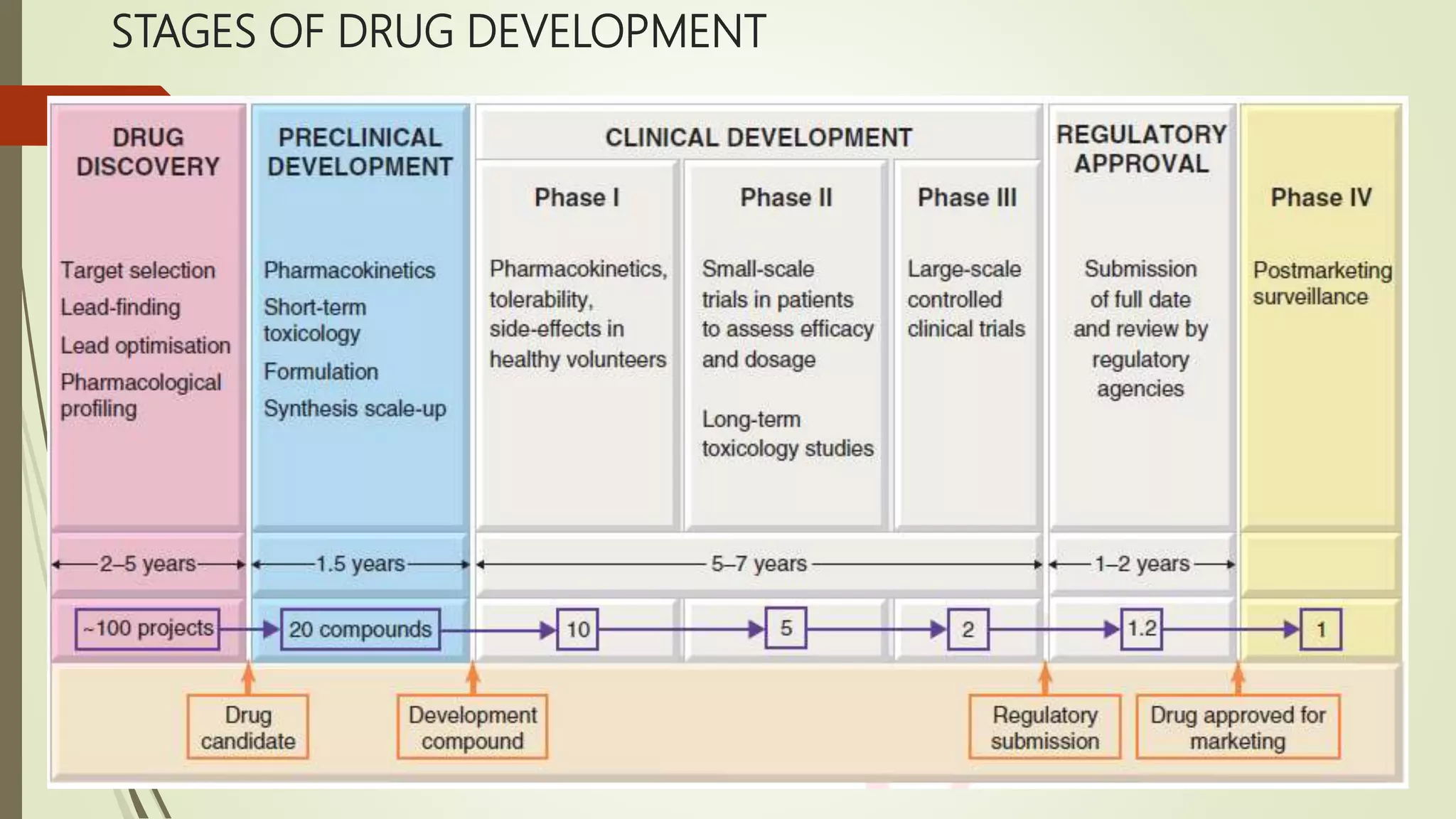 Clinical Aspect of Drug Discovery and Development PCO 413.pptx