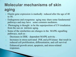 Clinical aspects and molecular diagnostics of skin aging | PPTX