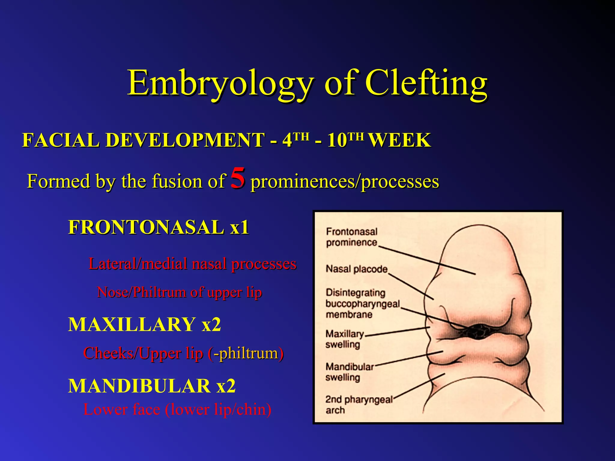 Clinical aspects of cleft lip & palate reconstruction | PPT