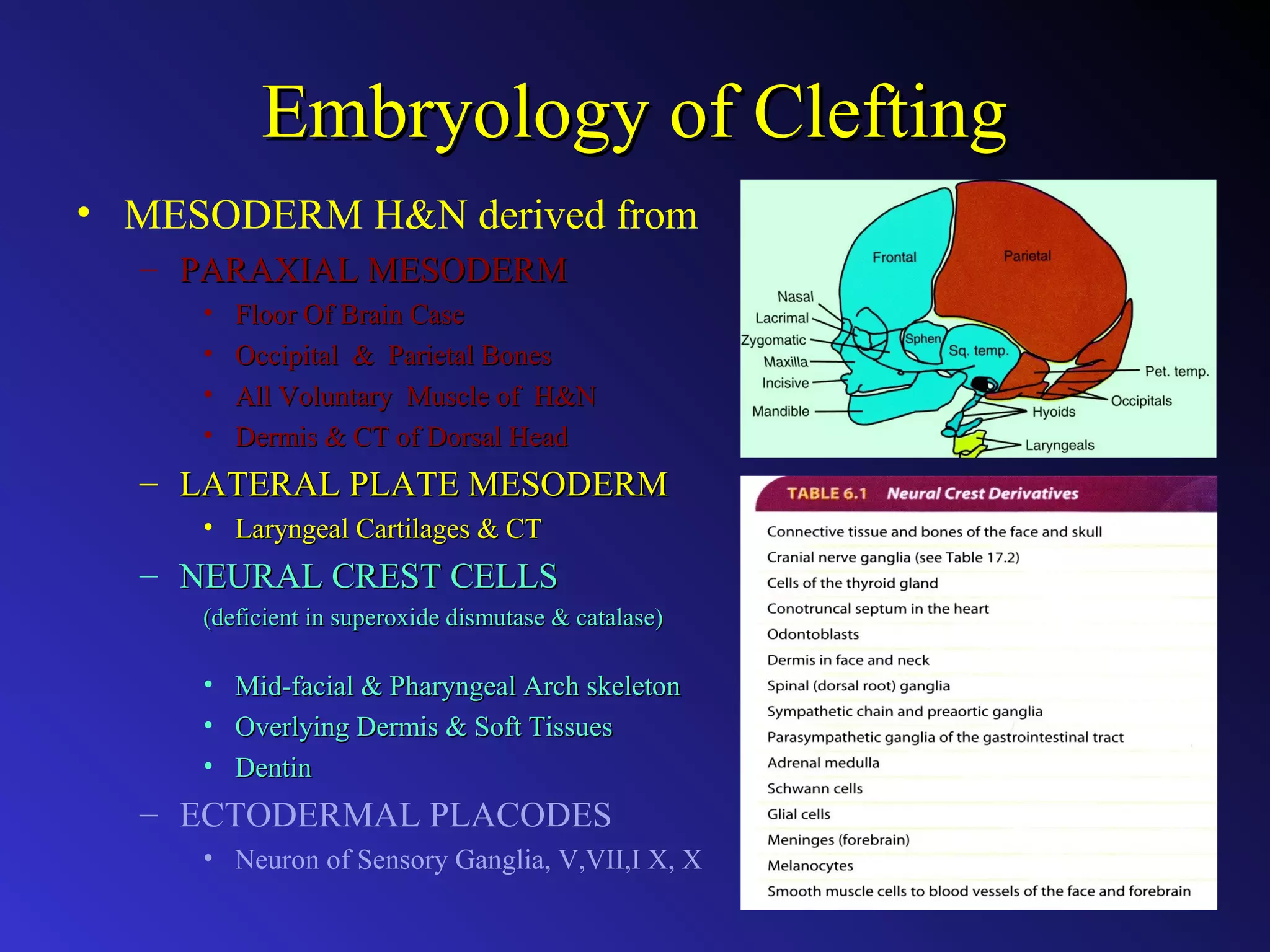 Clinical aspects of cleft lip & palate reconstruction | PPT