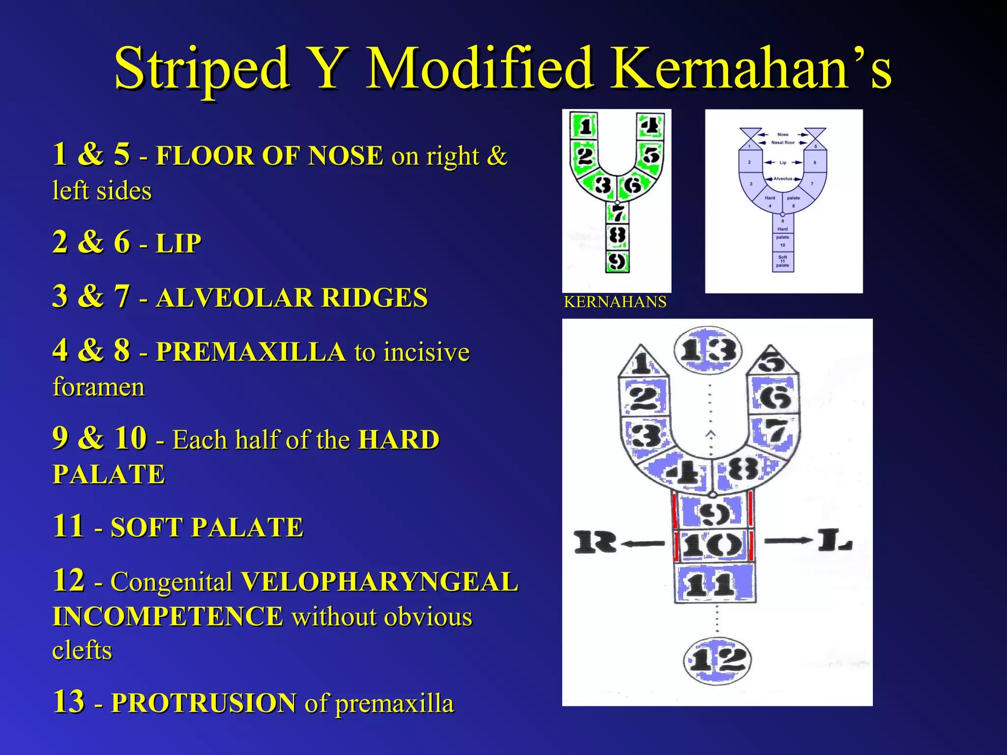 Clinical aspects of cleft lip & palate reconstruction | PPT