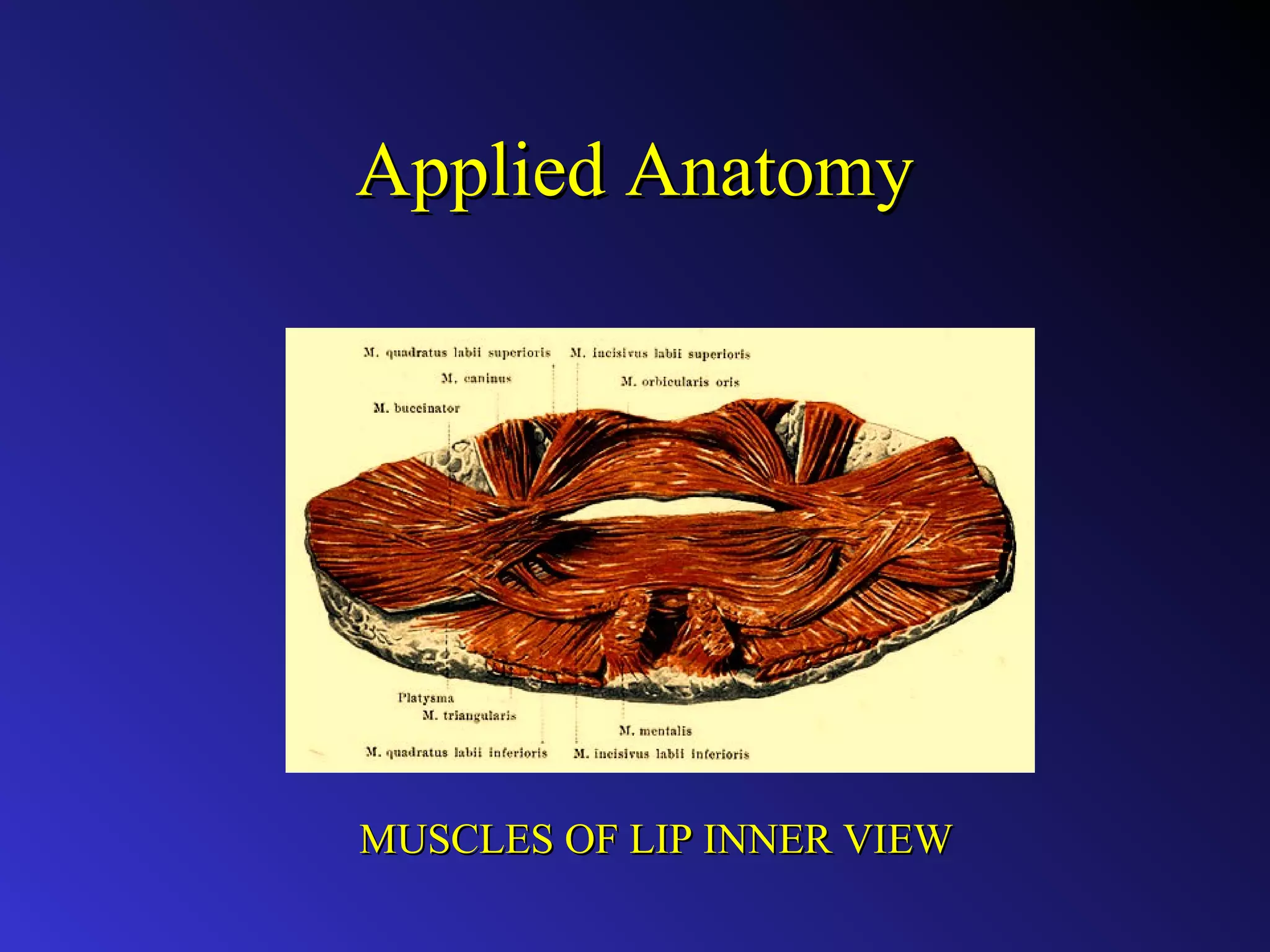Clinical aspects of cleft lip & palate reconstruction | PPT