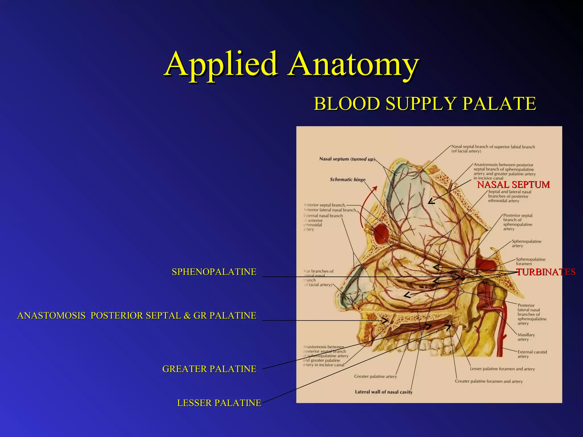 Clinical aspects of cleft lip & palate reconstruction | PPT