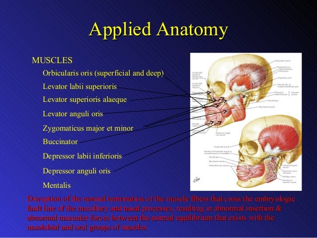 Clinical aspects of cleft lip & palate reconstruction