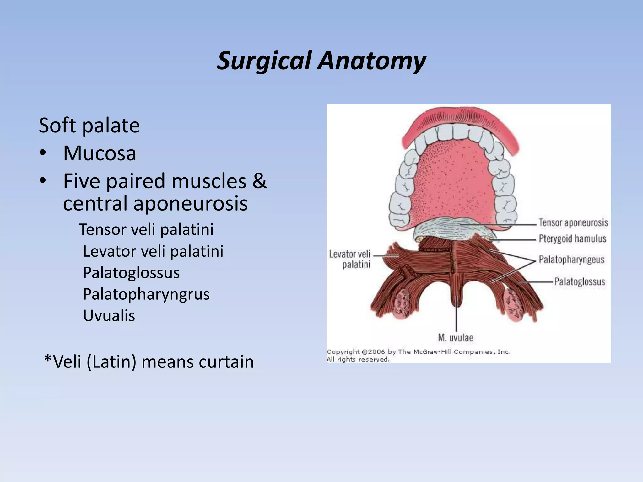 Clinical aspects of cleft palate repair | PPTX