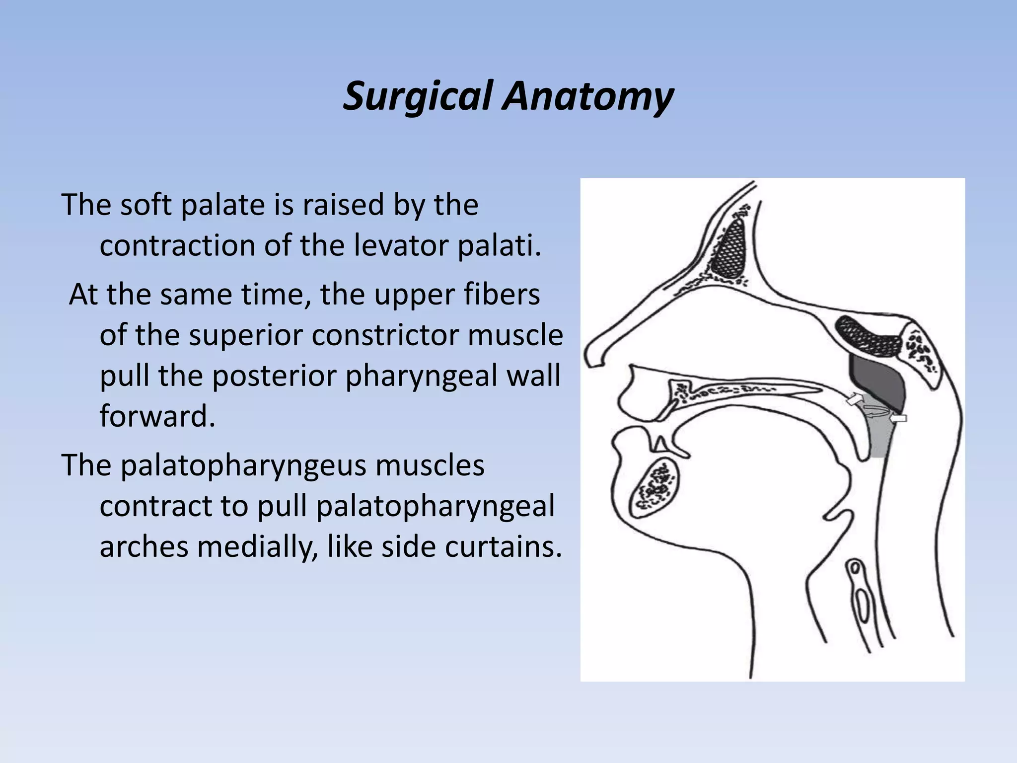 Clinical aspects of cleft palate repair | PPTX