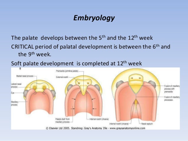 Clinical aspects of cleft palate repair