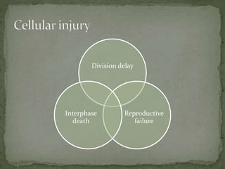Clinical aspects of radiation injury.pptx