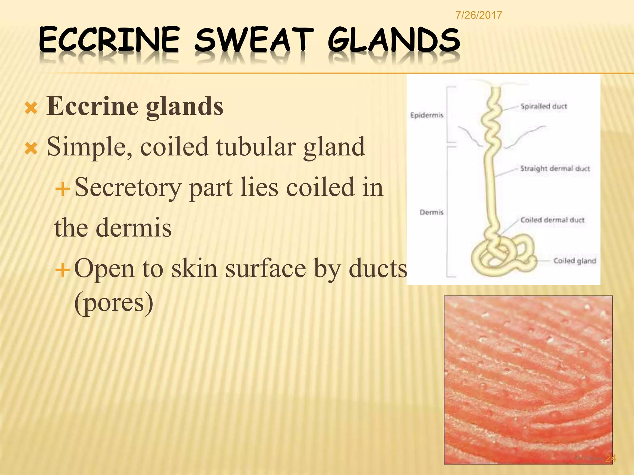 Clinical aspects of Swedana and its mode of action | PPTX