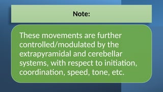 Clinical Aspects of Upper and Lower Motor Neuron Lesions | PPTX