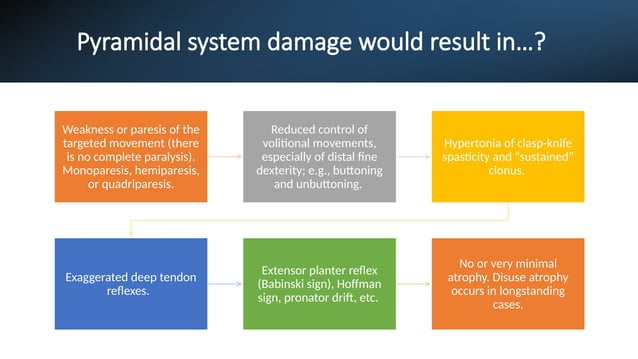 Clinical Aspects of Upper and Lower Motor Neuron Lesions | PPT