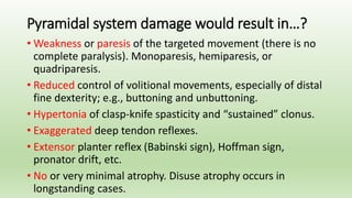 Clinical aspects of upper and lower motor neuron lesions | PPTX | Death ...