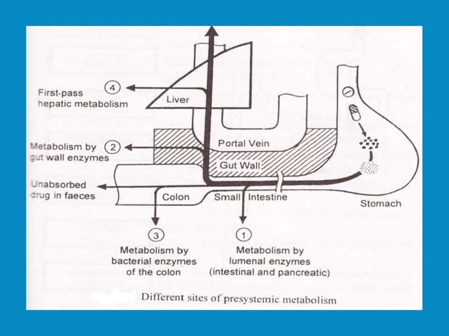 CLINICAL ASPECTS OF VIRECHANA AND ITS MODE OF ACTION | PPTX