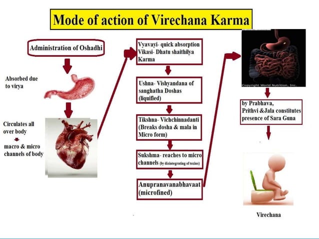 CLINICAL ASPECTS OF VIRECHANA AND ITS MODE OF ACTION | PPTX