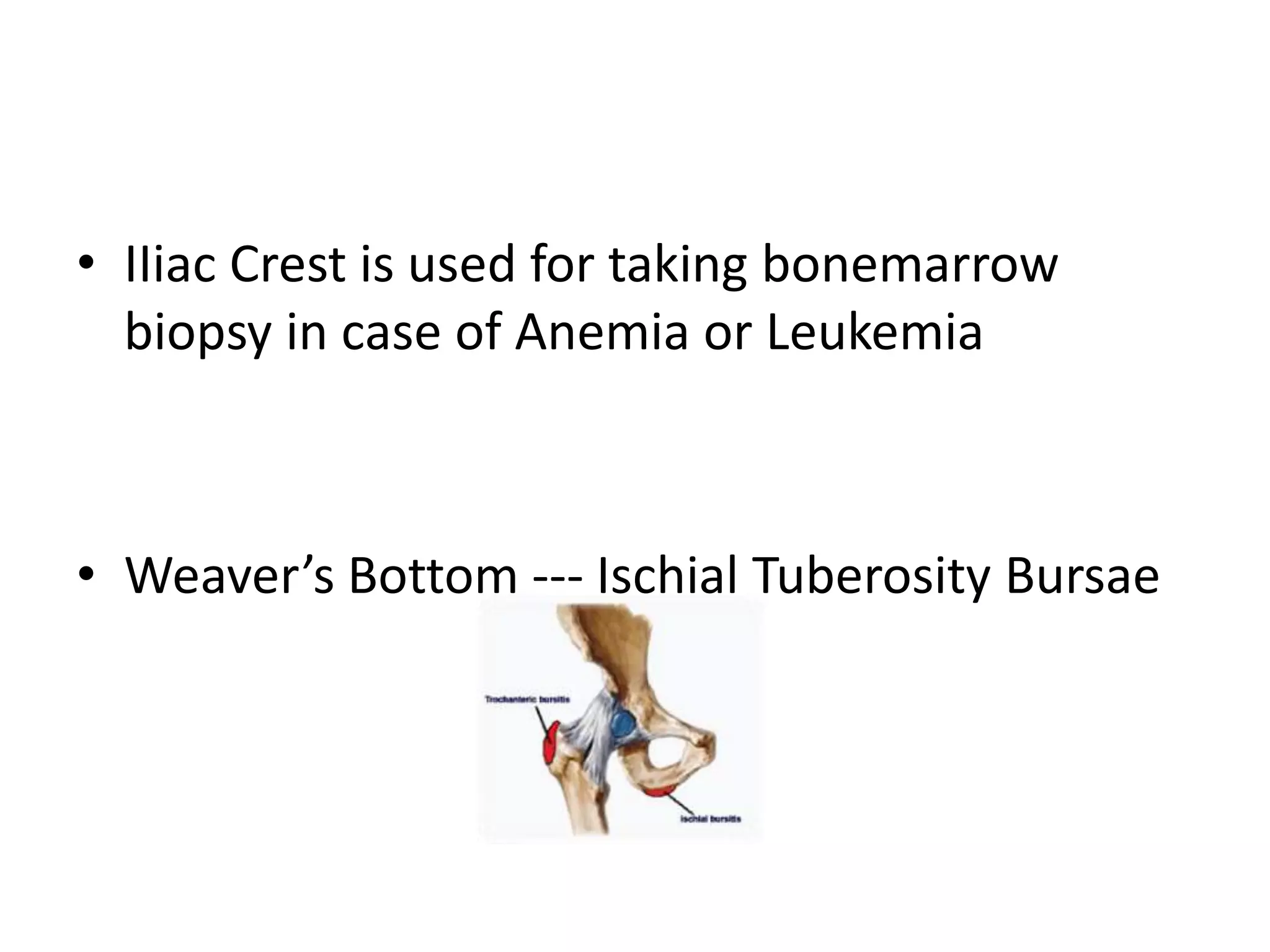 Clinical aspets and applied anatomy of the lower | PPTX