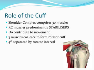 Clinical assessment of the rotator cuff | PDF
