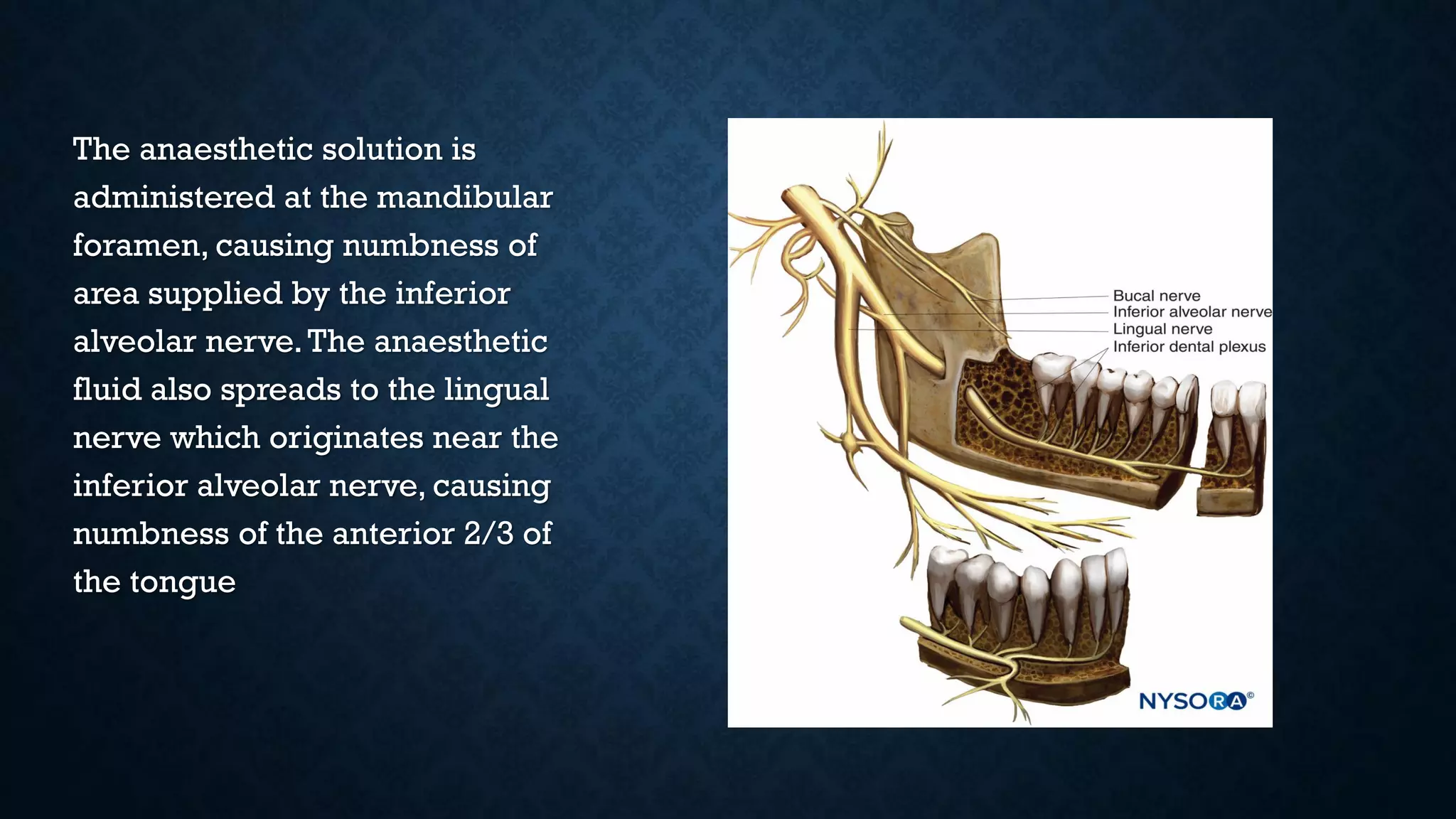 Clinical assessment of trigeminal nerve.pdf