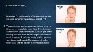Clinical assessment of trigeminal nerve.pdf