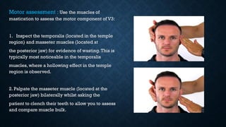 Clinical assessment of trigeminal nerve.pdf