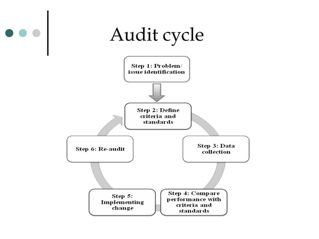 Clinical Audits and Process Improvement in Hospitals | PPT