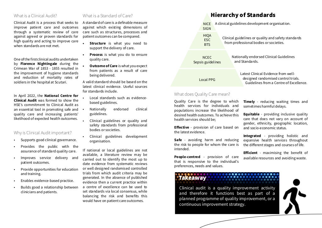 Clinical Audit Booklet | PDF