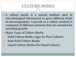 Clinical bacteriology, Clinical Microbiology, Microbiology, Laboratory ...