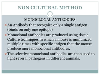 Clinical bacteriology, Clinical Microbiology, Microbiology, Laboratory ...