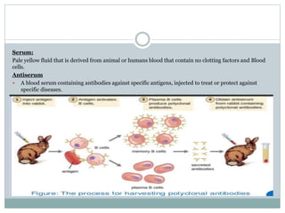 Clinical bacteriology, Clinical Microbiology, Microbiology, Laboratory ...