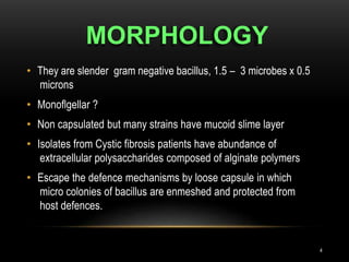 Clinical bactriology and Medical | PPTX