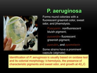 Clinical bactriology and Medical | PPTX