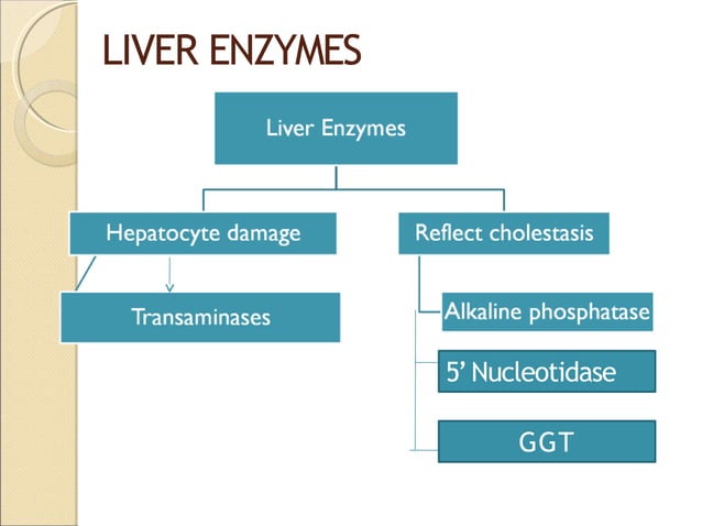CLINICAL_BIOCHEMISTRY ENZYMES AND THEIR FUNCTION TESTS IN THE ORGANS | PPT