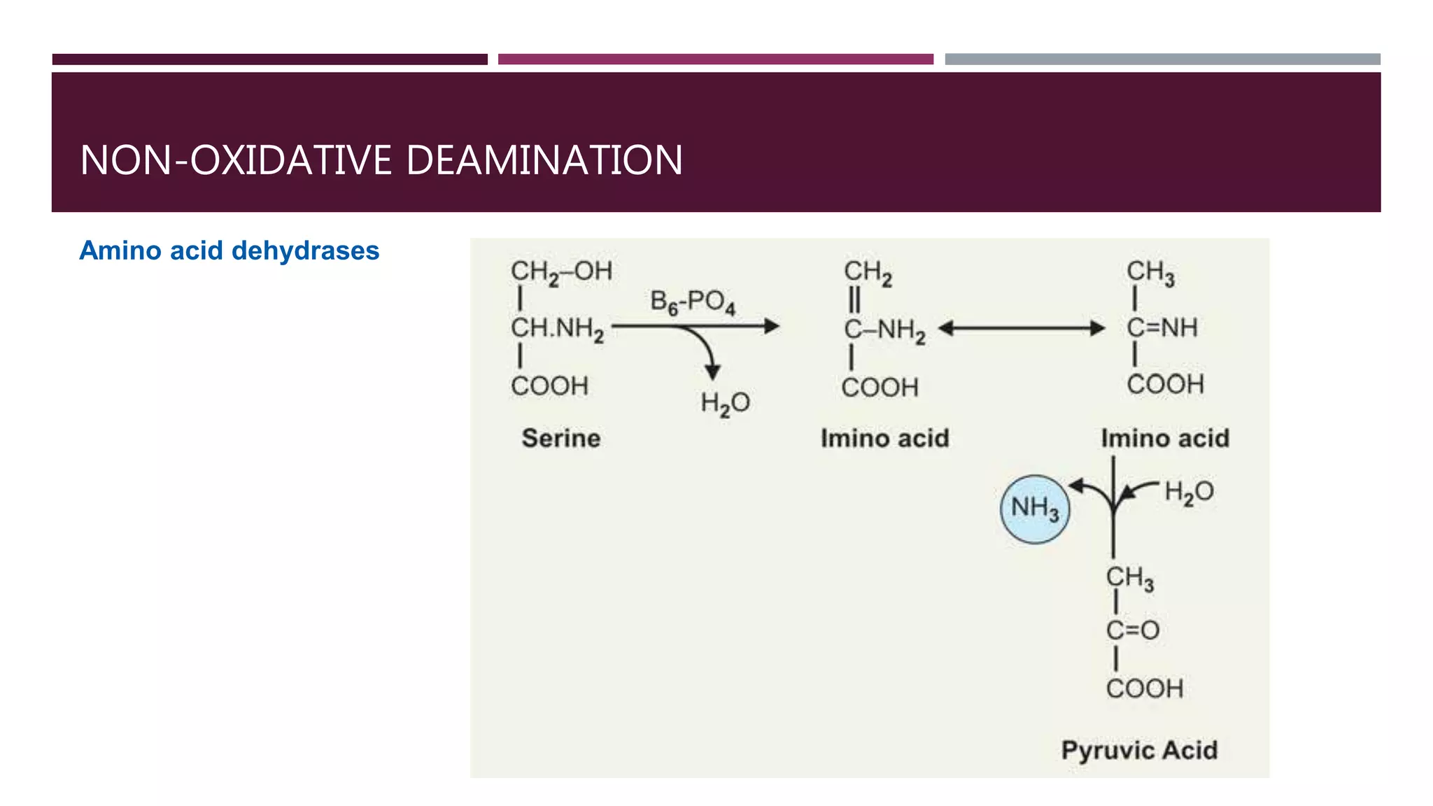 Assimilation of nitrogen with reference to ammonia, urea, uric acid ...
