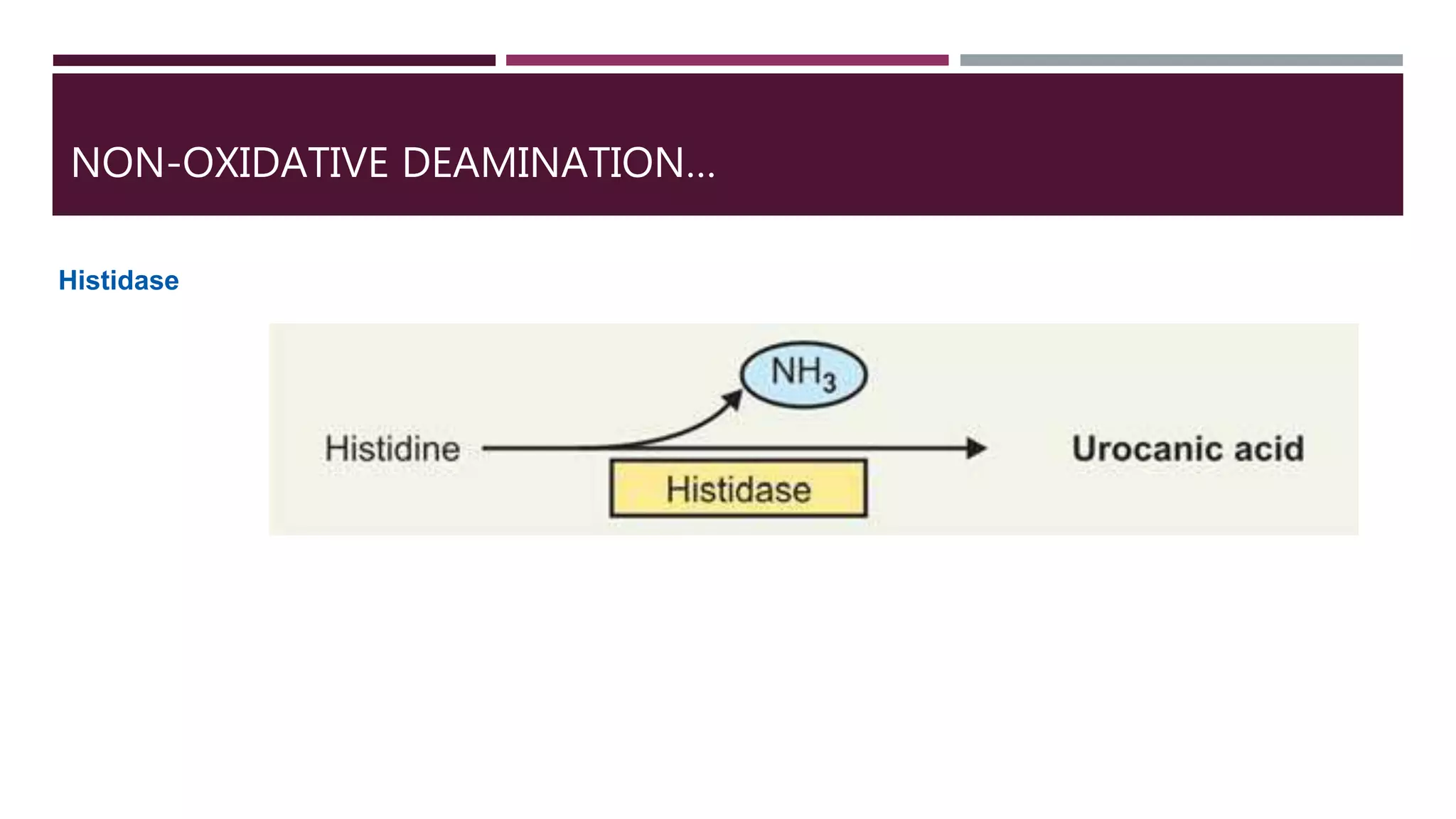 Assimilation of nitrogen with reference to ammonia, urea, uric acid ...
