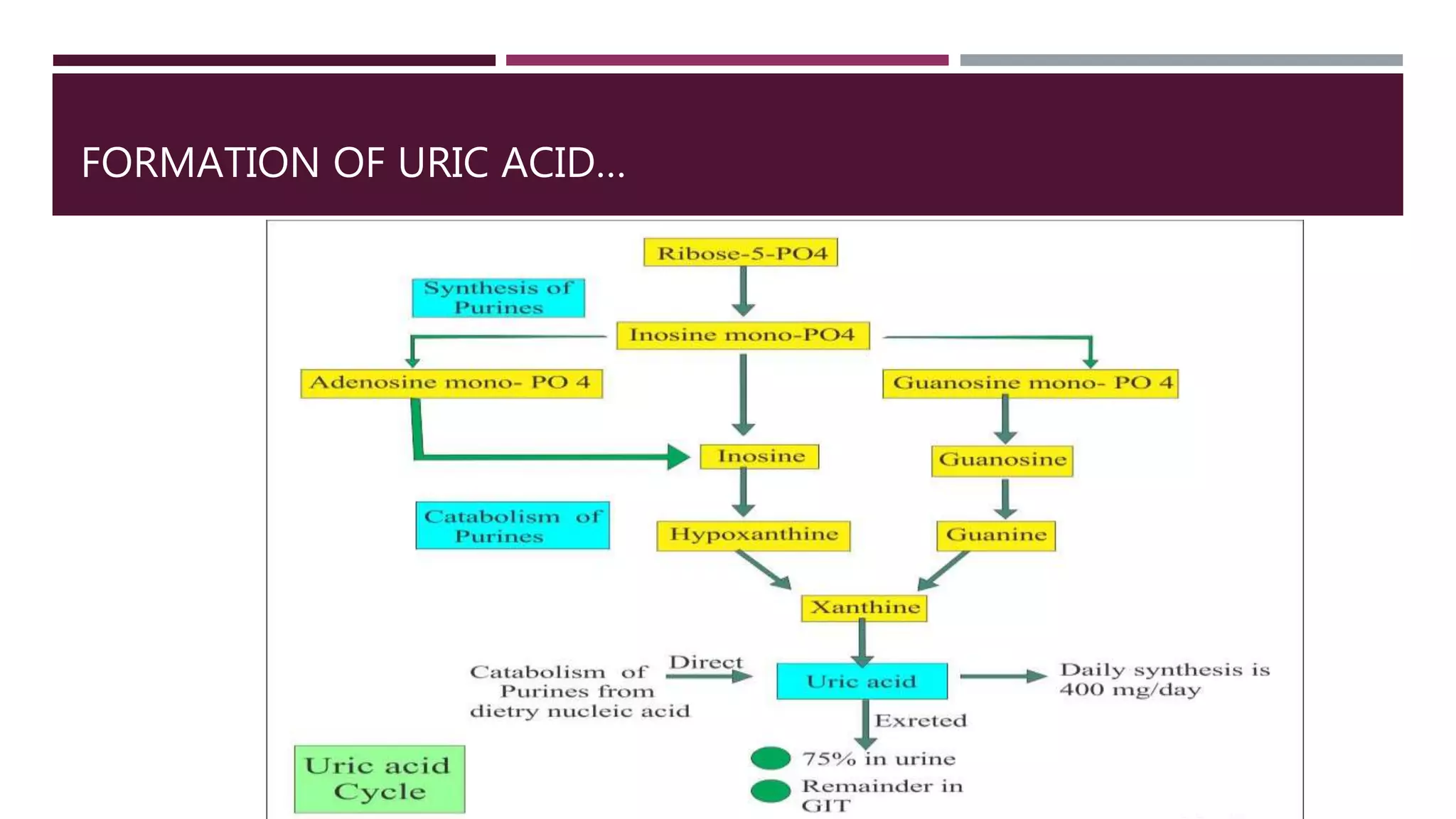 Assimilation of nitrogen with reference to ammonia, urea, uric acid, creatine And creatinine | PPTX