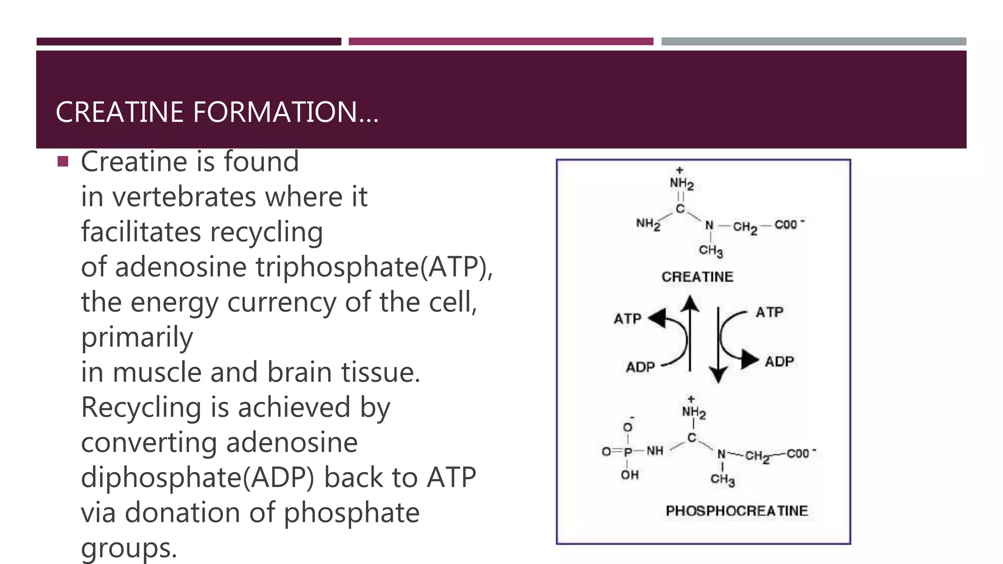 Assimilation of nitrogen with reference to ammonia, urea, uric acid ...