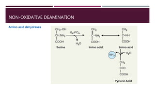 Assimilation of nitrogen with reference to ammonia, urea, uric acid ...
