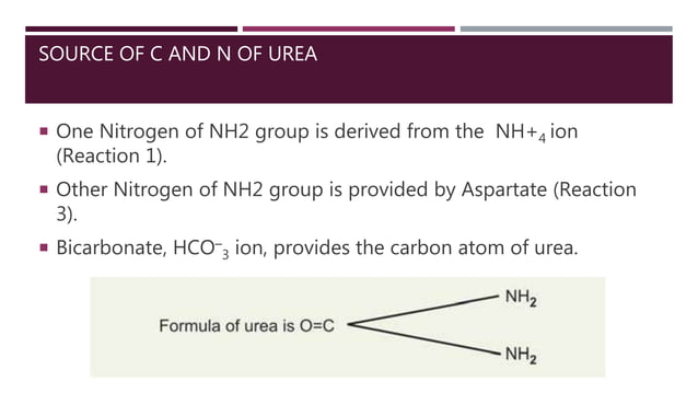 Assimilation of nitrogen with reference to ammonia, urea, uric acid ...