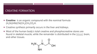 Assimilation of nitrogen with reference to ammonia, urea, uric acid ...
