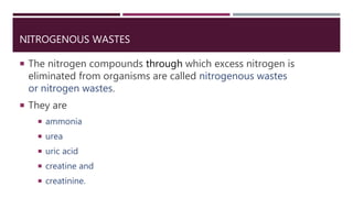 Assimilation of nitrogen with reference to ammonia, urea, uric acid ...
