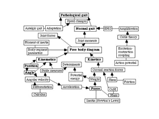 Clinical biomechanics | PPT