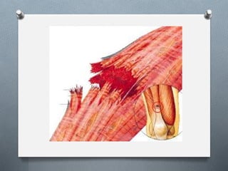 Clinical case 7 russian currents | PPT