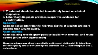 Tetanus Clinical case.pptx
