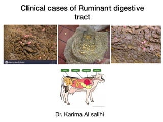 Clinical cases of ruminant digestive tract | PDF | Digestive Disorders ...