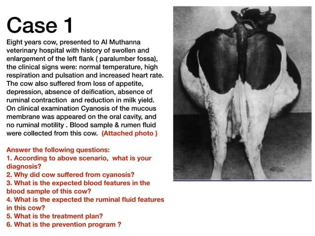 Clinical cases of ruminant digestive tract | PDF | Digestive Disorders ...
